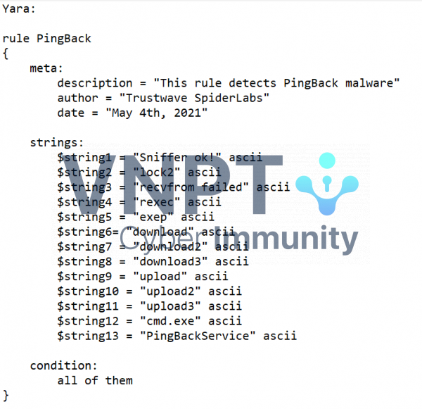 ICMP Tunneling - Một kỹ thuật lạm dụng giao thức ICMP - VNPT Cyber Immunity